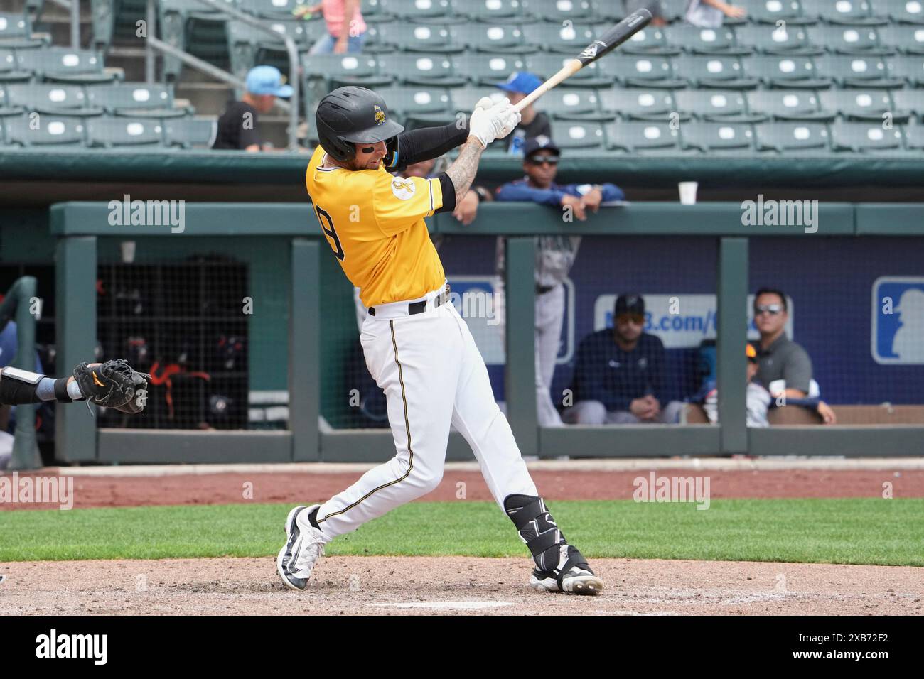 Drew ellis hi-res stock photography and images - Alamy