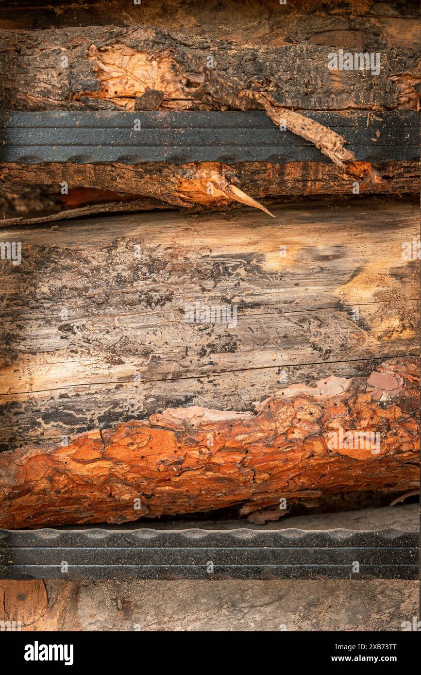 Front view of log wall mounted with wrought iron Stock Photo - Alamy