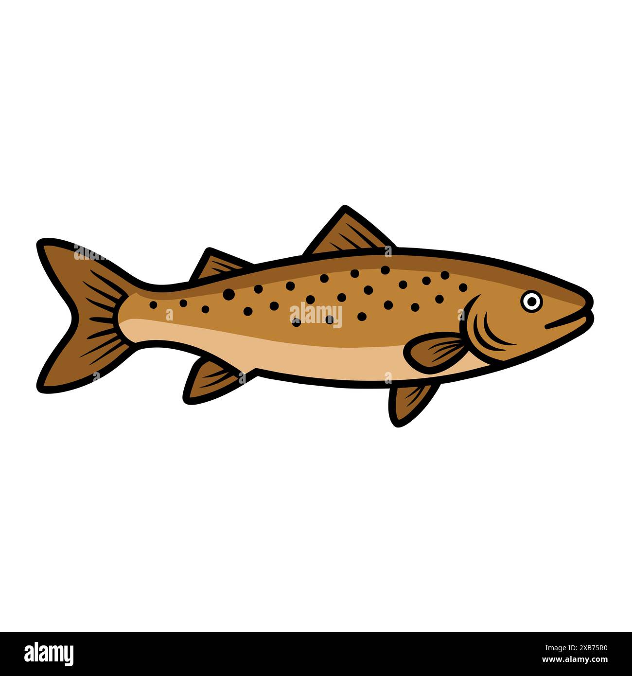 Cartoon illustration brook trout hi-res stock photography and images ...