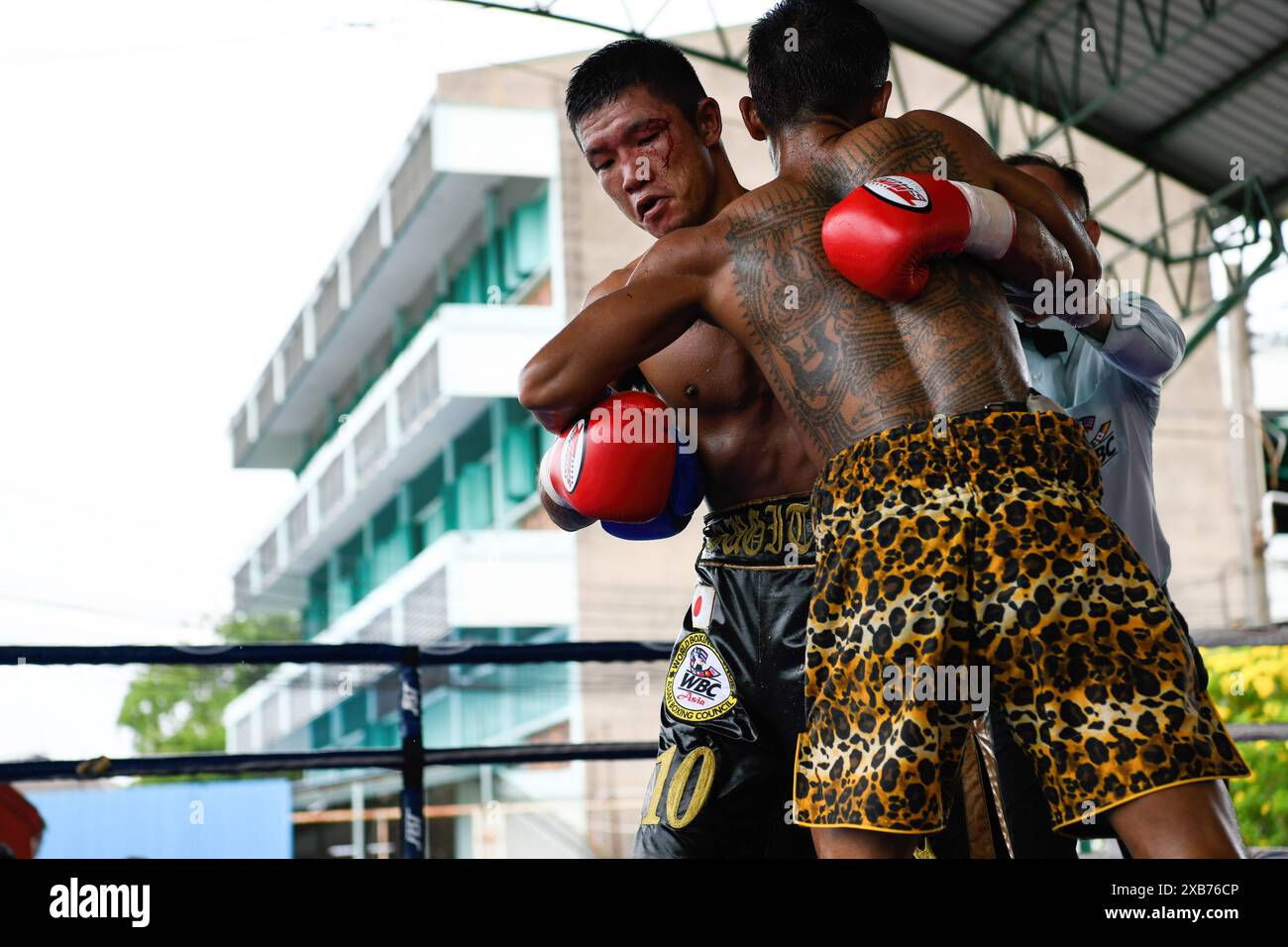 Bangkok, Thailand. 10th June, 2024. Daisuke Sugita (L) and Wira Mikham(R) in action during a WBC ...