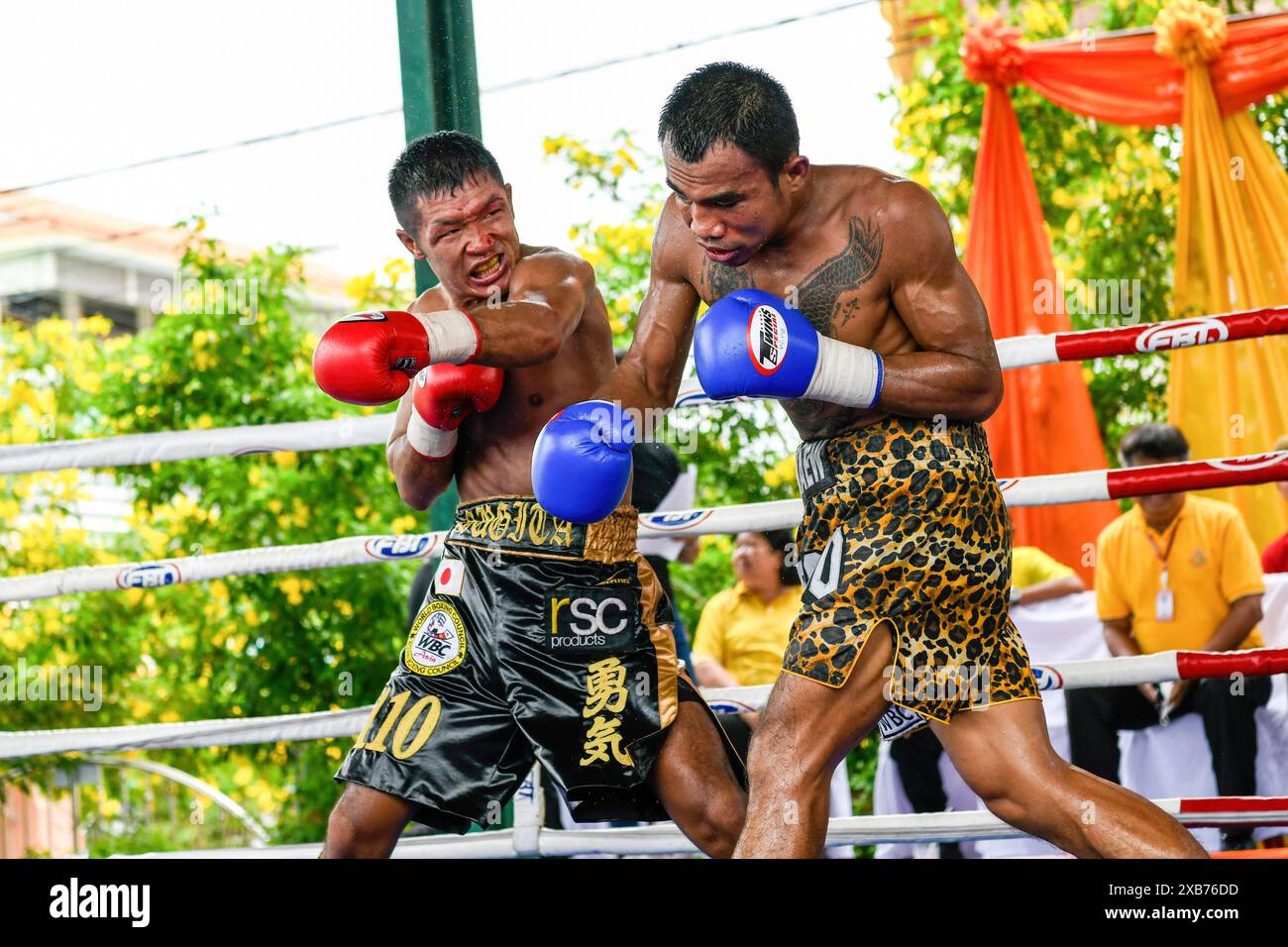 Bangkok, Thailand. 10th June, 2024. Daisuke Sugita (L) and Wira Mikham(R) in action during a WBC ...