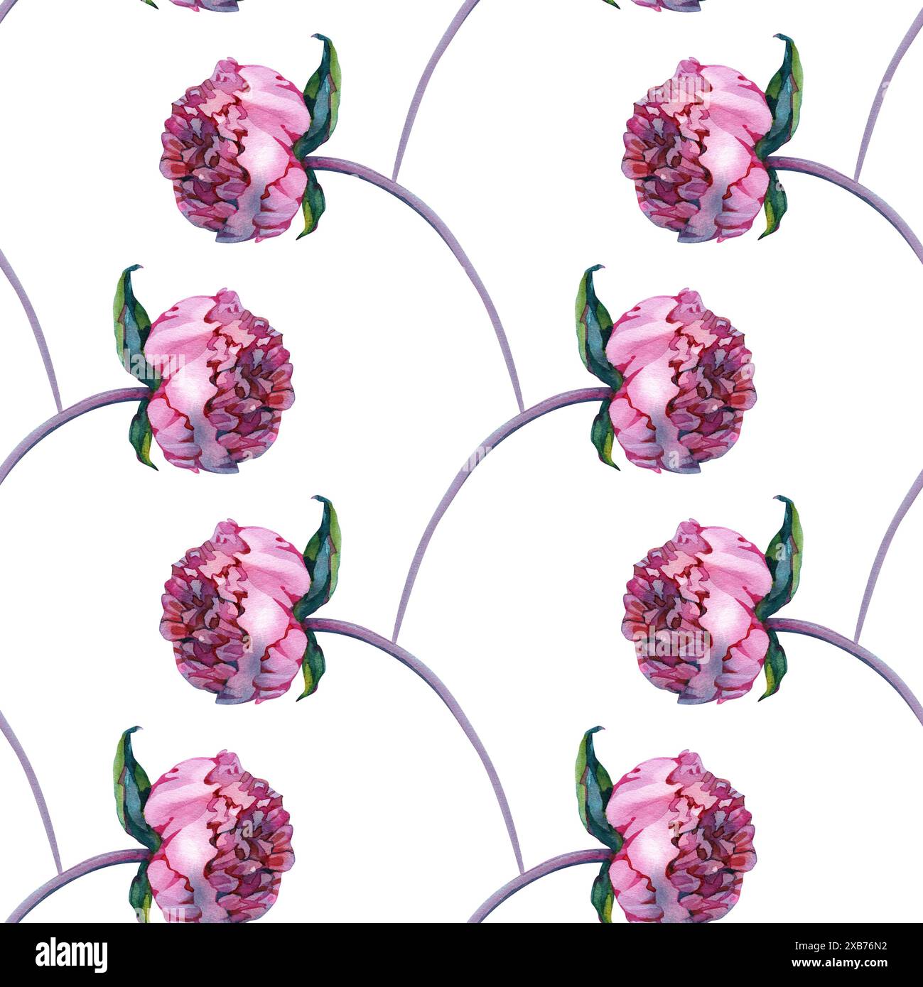 Summer Seamless Watercolor Pattern with Pink Peonies and Roses on a ...