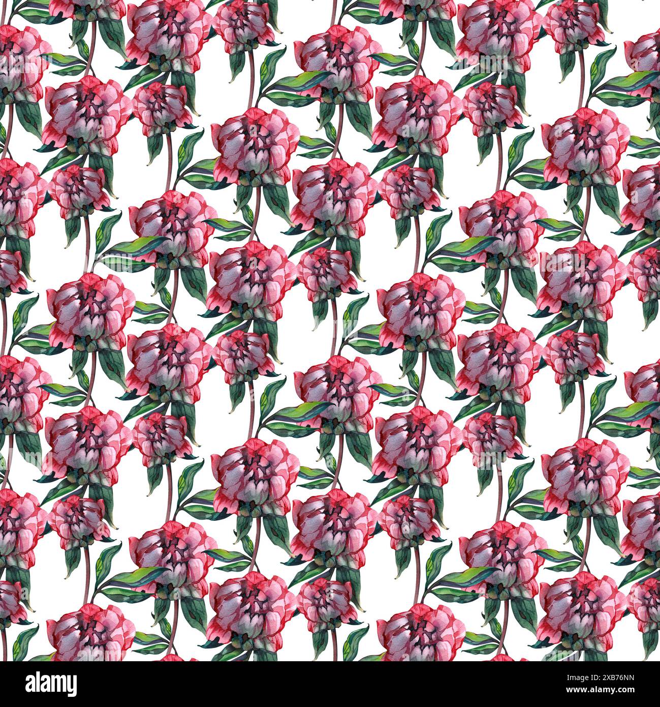 Summer Seamless Watercolor Pattern with Pink Peonies and Roses on a ...