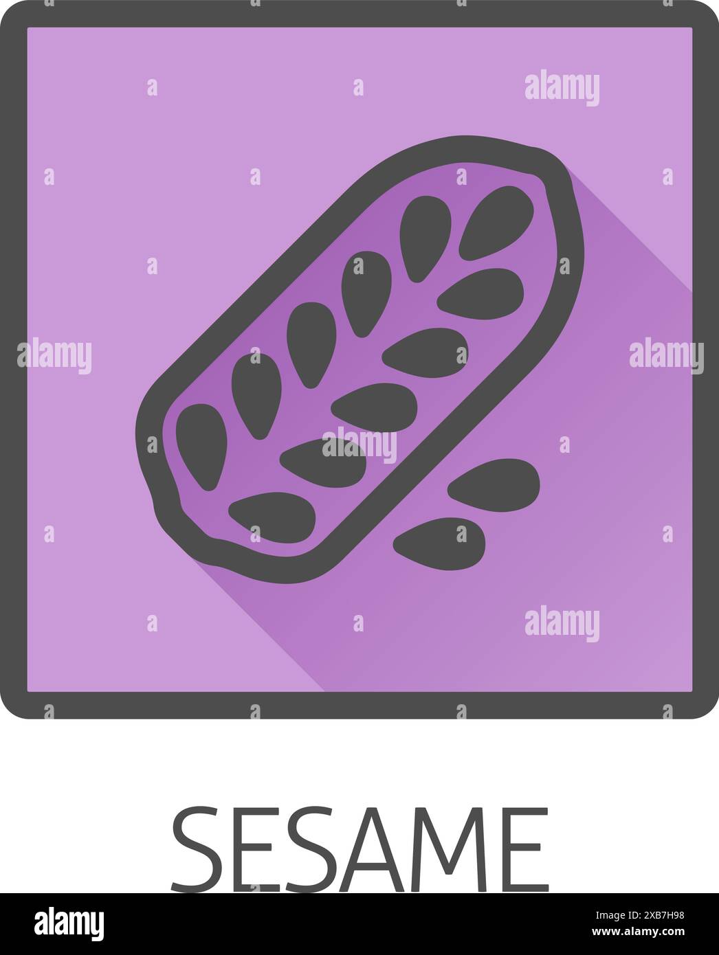 Sesame Seed Capsule Pod Food Allergen Icon Concept Stock Vector Image ...