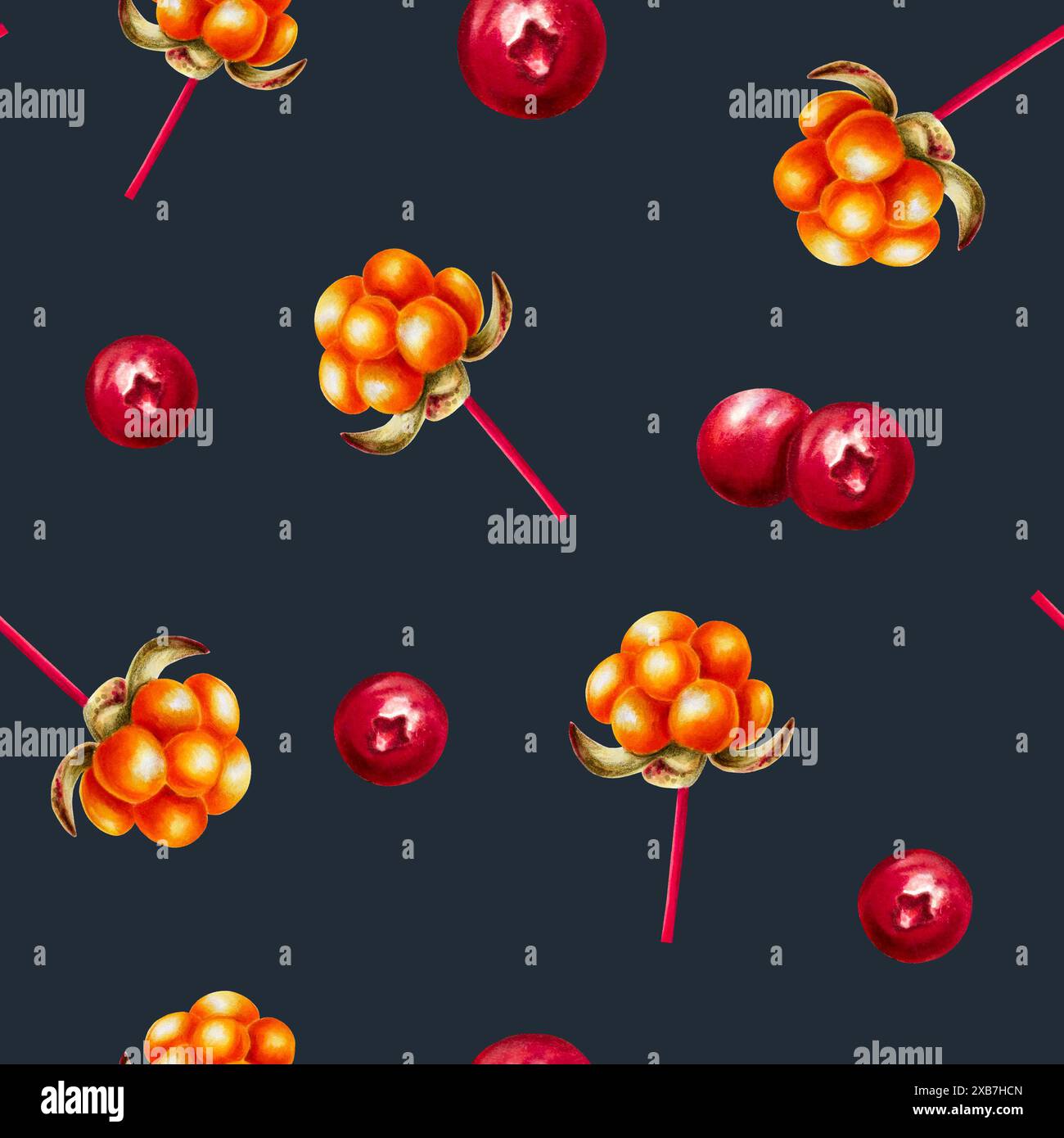 Watercolor seamless pattern with northern forest berry cloudberry ...