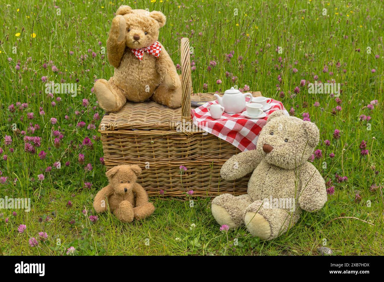 Teddy bear's picnic. Three cute bears enjoy a picnic in Swaledale's ...