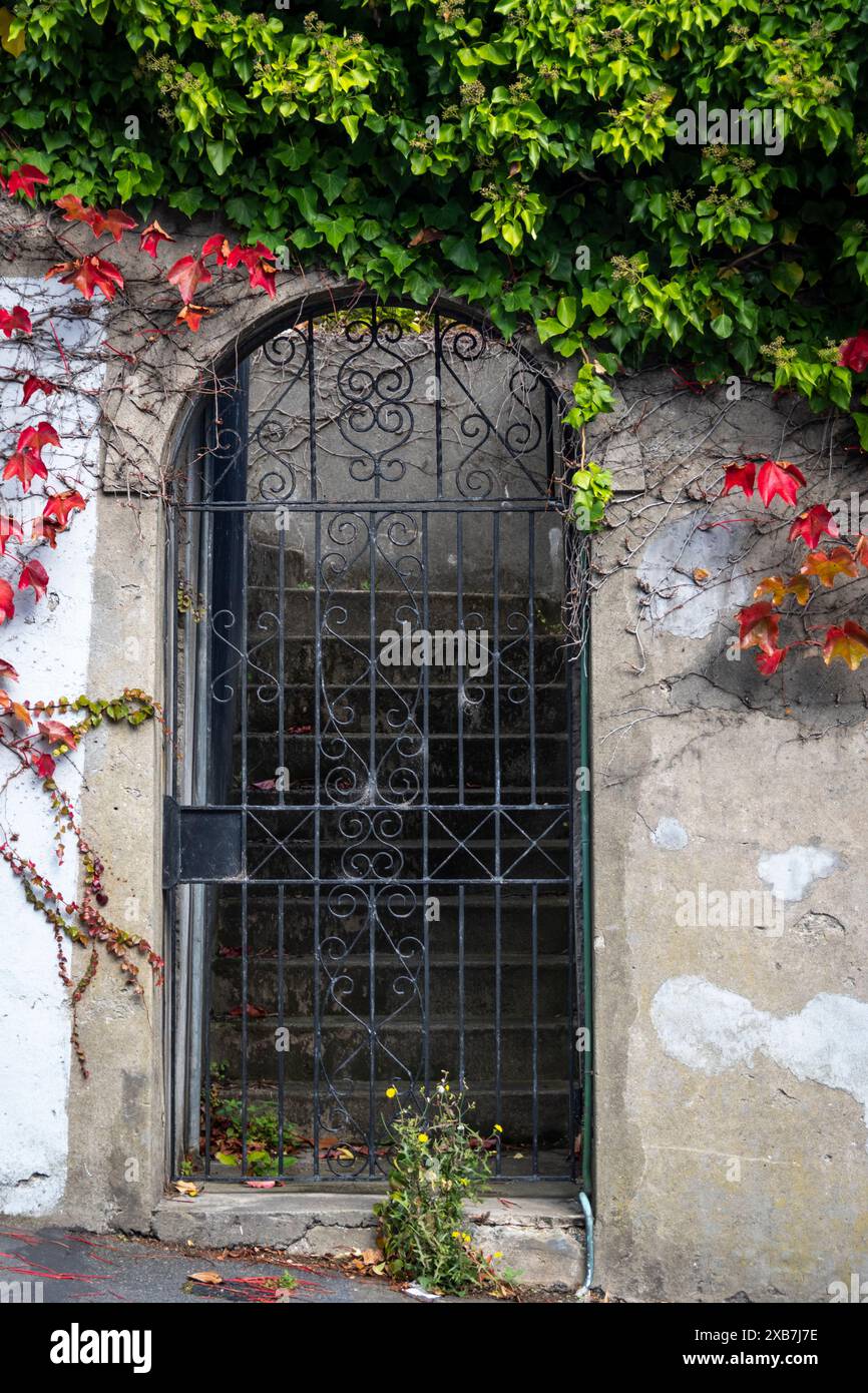Iron gate in concrete wall, leading to a house, Mount Victoria ...