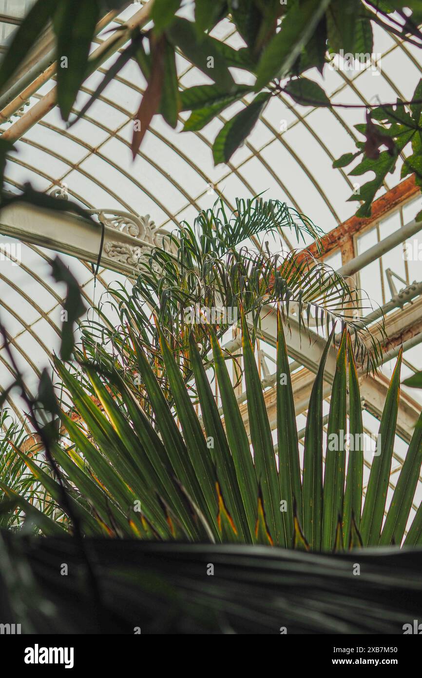 An interior of a botanical garden with a domed roof and tiled ceiling ...