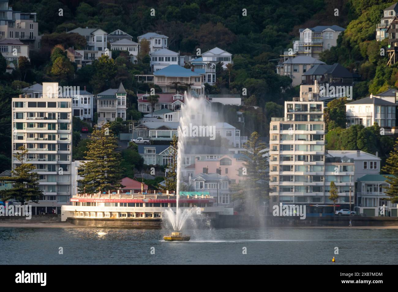 Wellington new zealand hillside suburban hi-res stock photography and ...