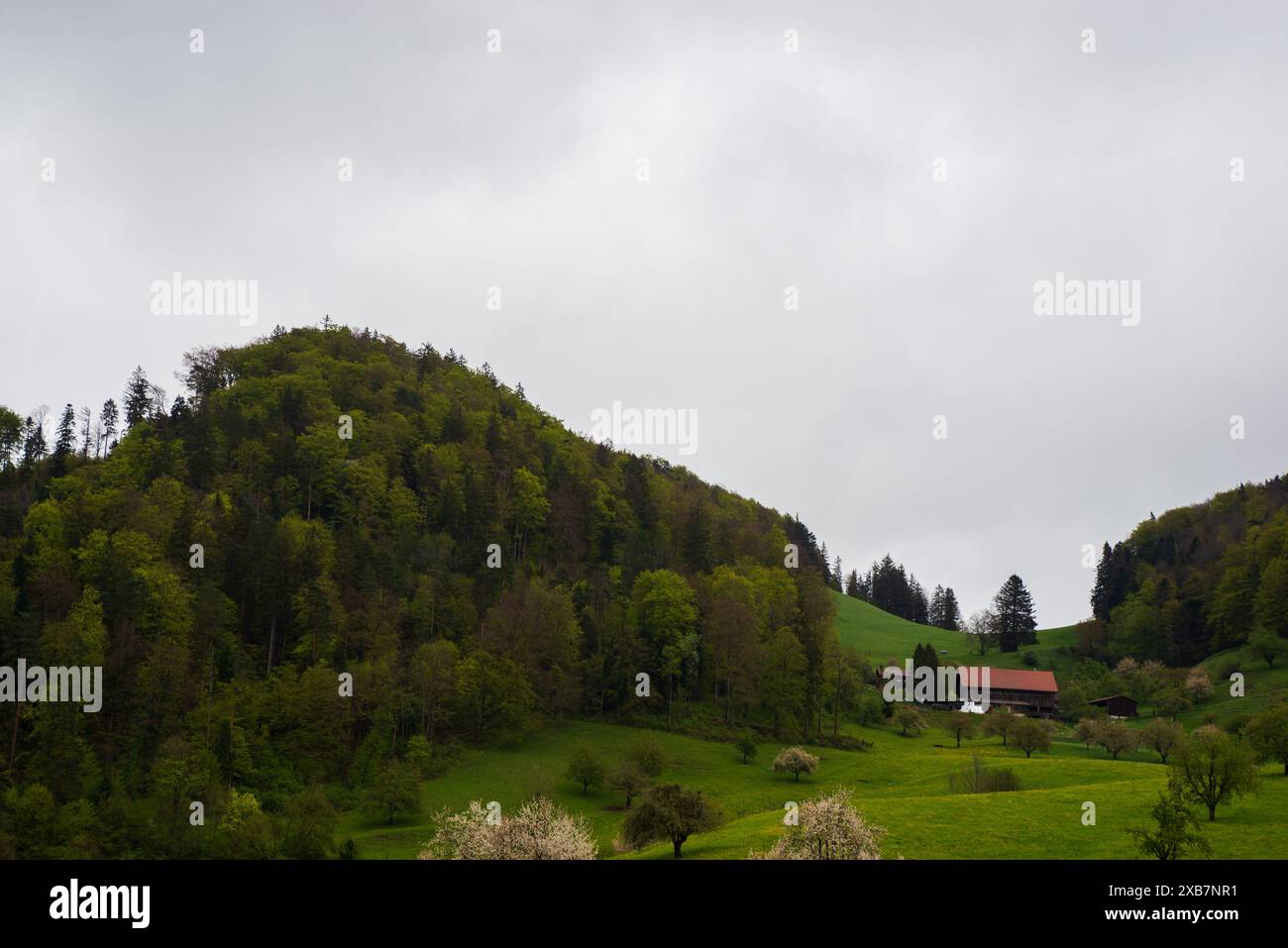 A Lush green pasture with with a hill covered in trees Stock Photo - Alamy
