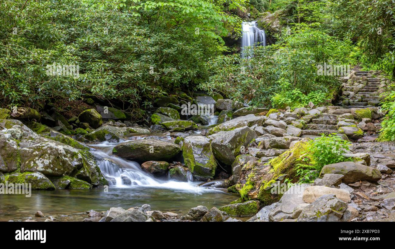 Waterfall cascades through lush hi-res stock photography and images - Alamy