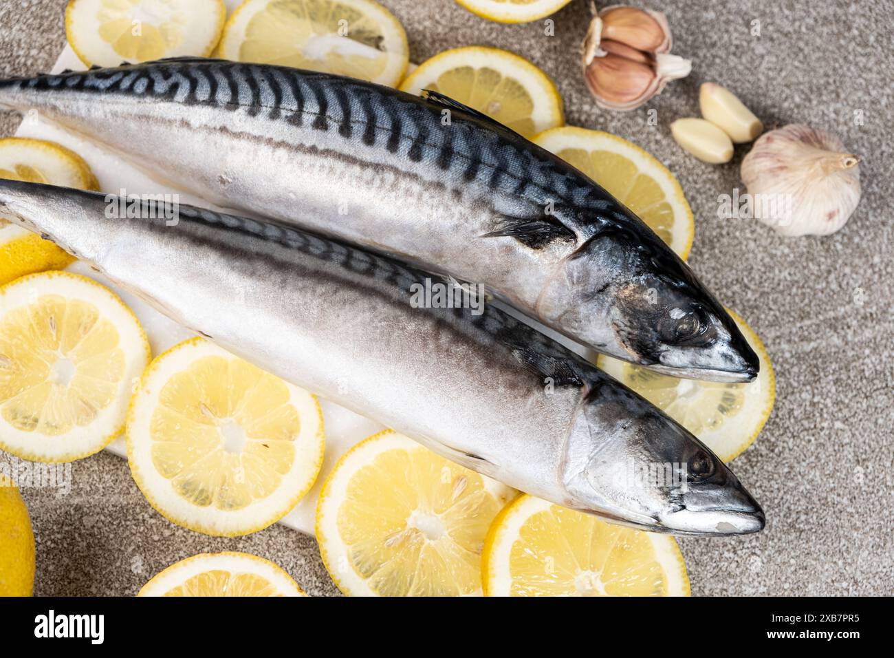 Uncooked mackerel sea fish with lemons and garlic, culinary recipe ...