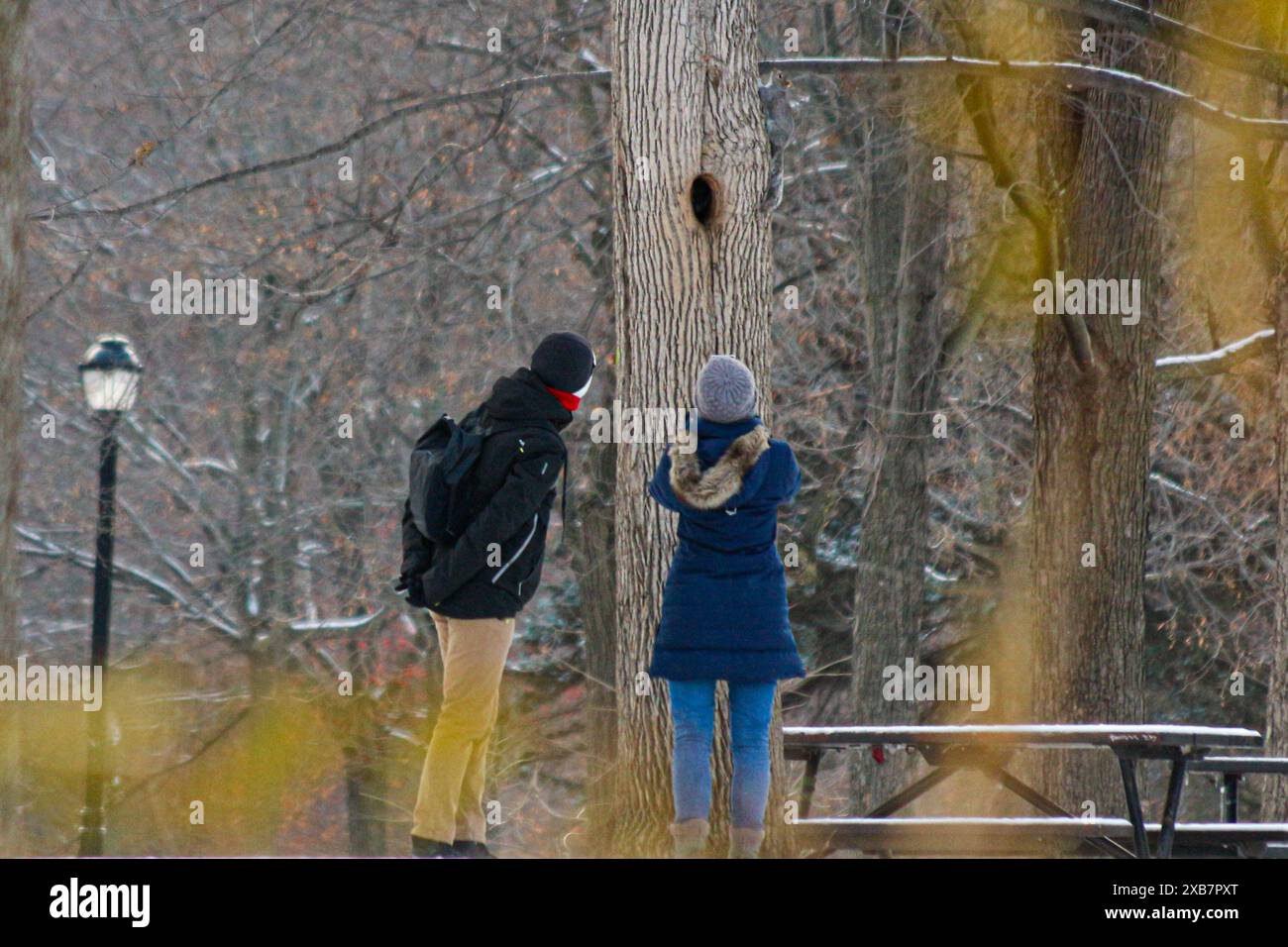 A couple photographing wildlife in its natural habitat, blending awe ...