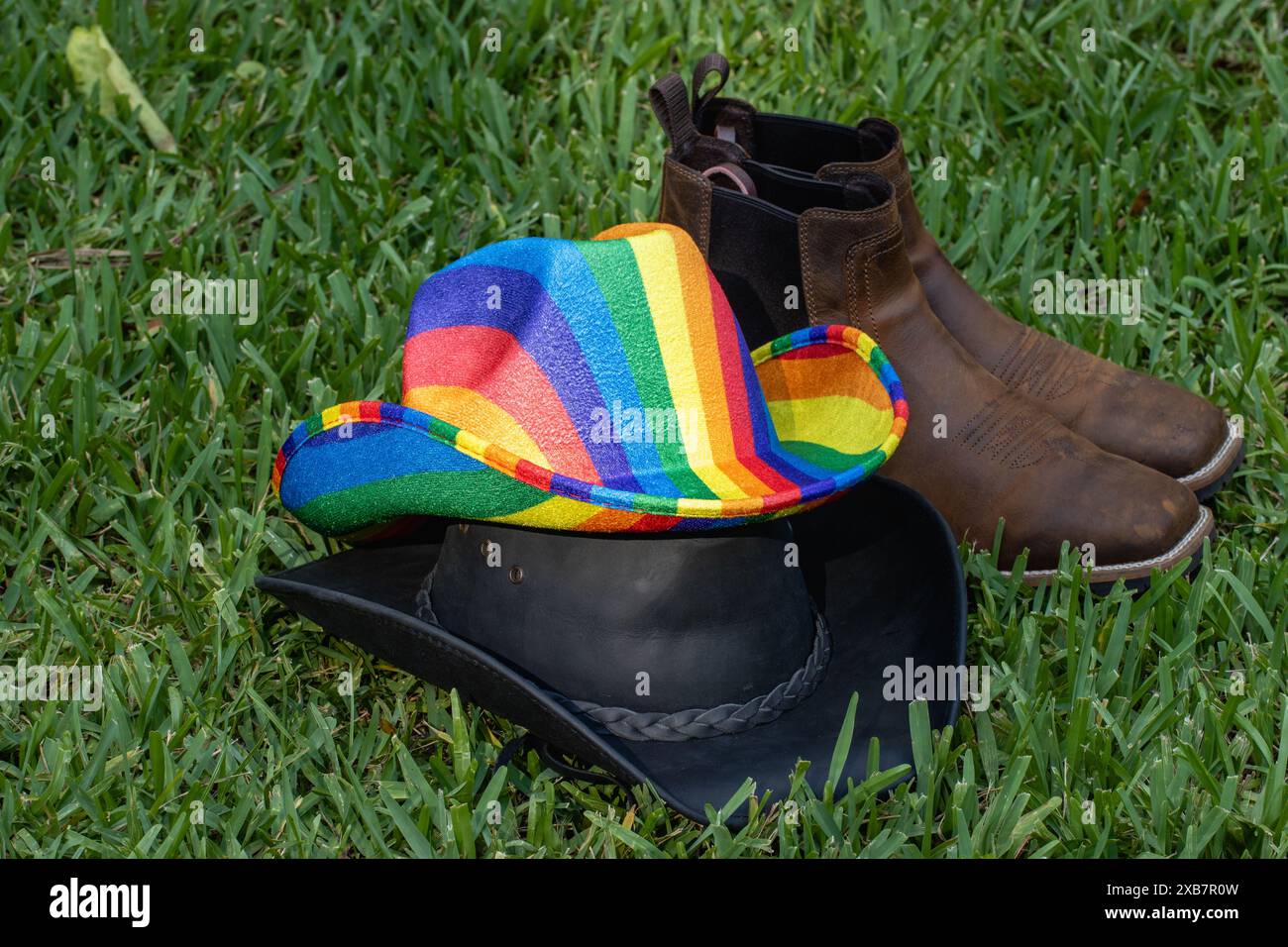 The pride celebration decor with rainbow-colored items in nature Stock ...