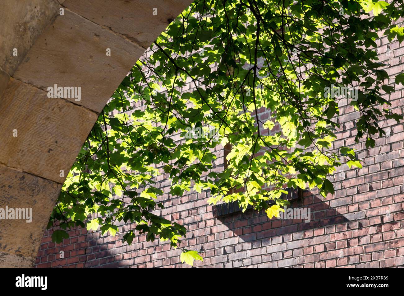 A brick wall and archway with sunlight reflecting off window Stock ...