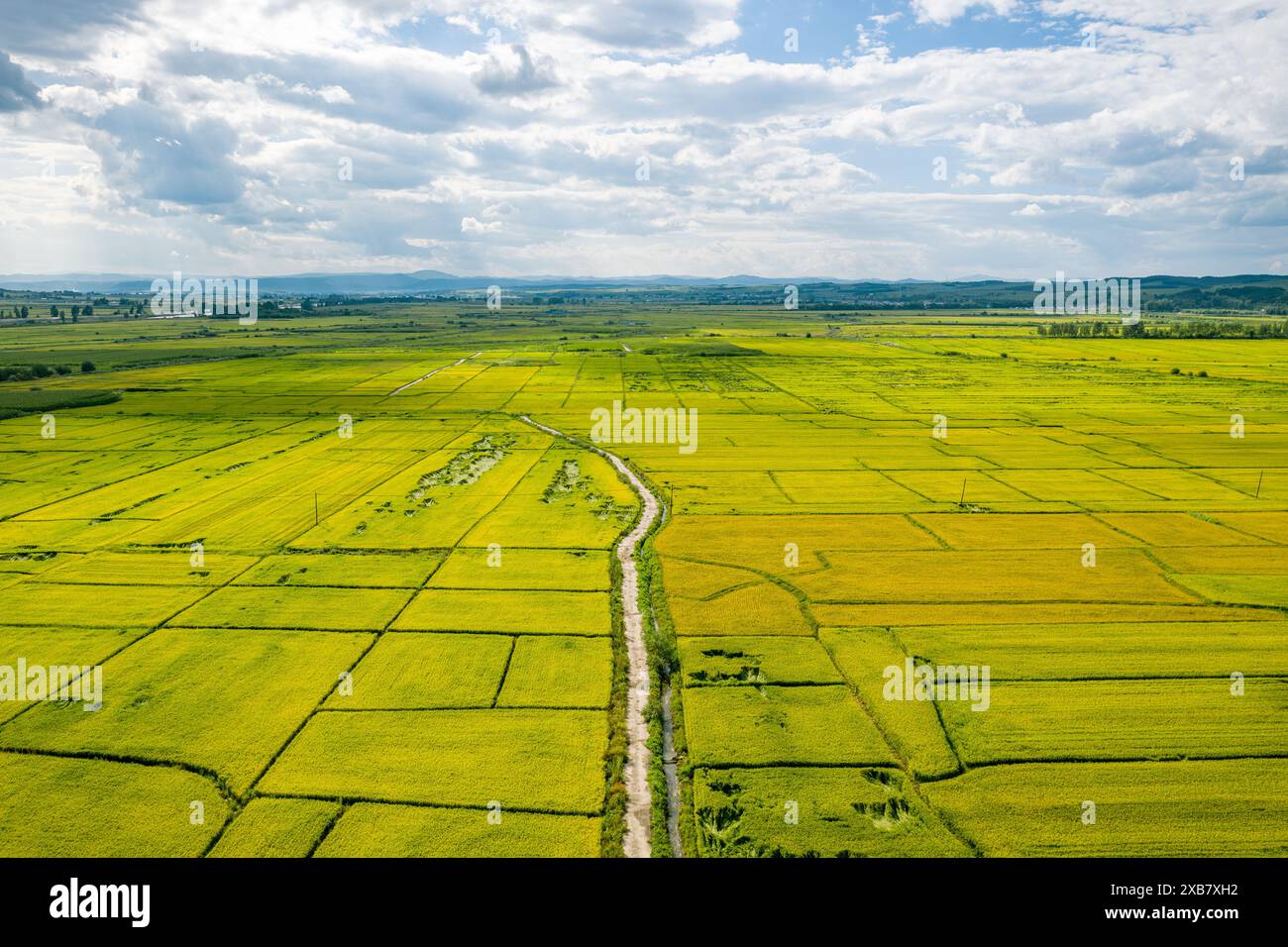 An aerial view of an open road through lush rolling green fields Stock ...