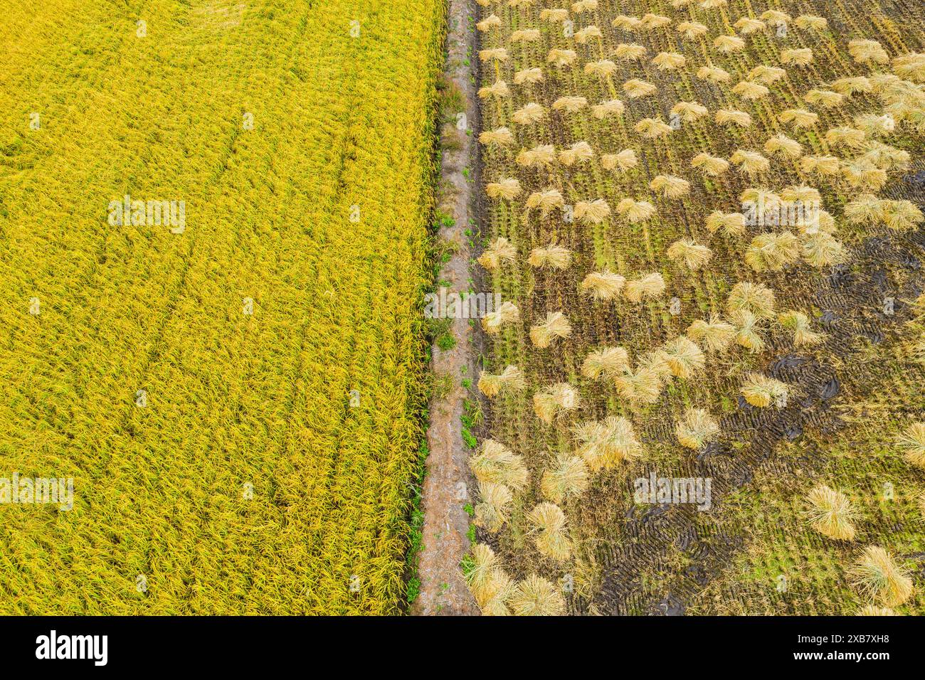 An aerial view of an open road through lush rolling green fields Stock ...