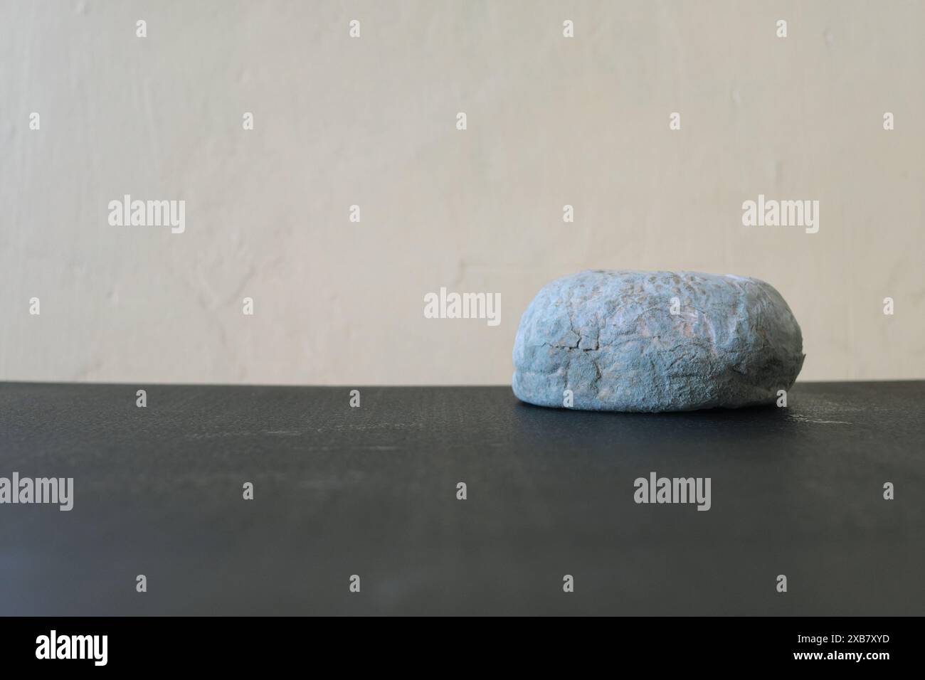 Closeup of a rotten moldy hamburger bun bread. Food spoilage and food ...