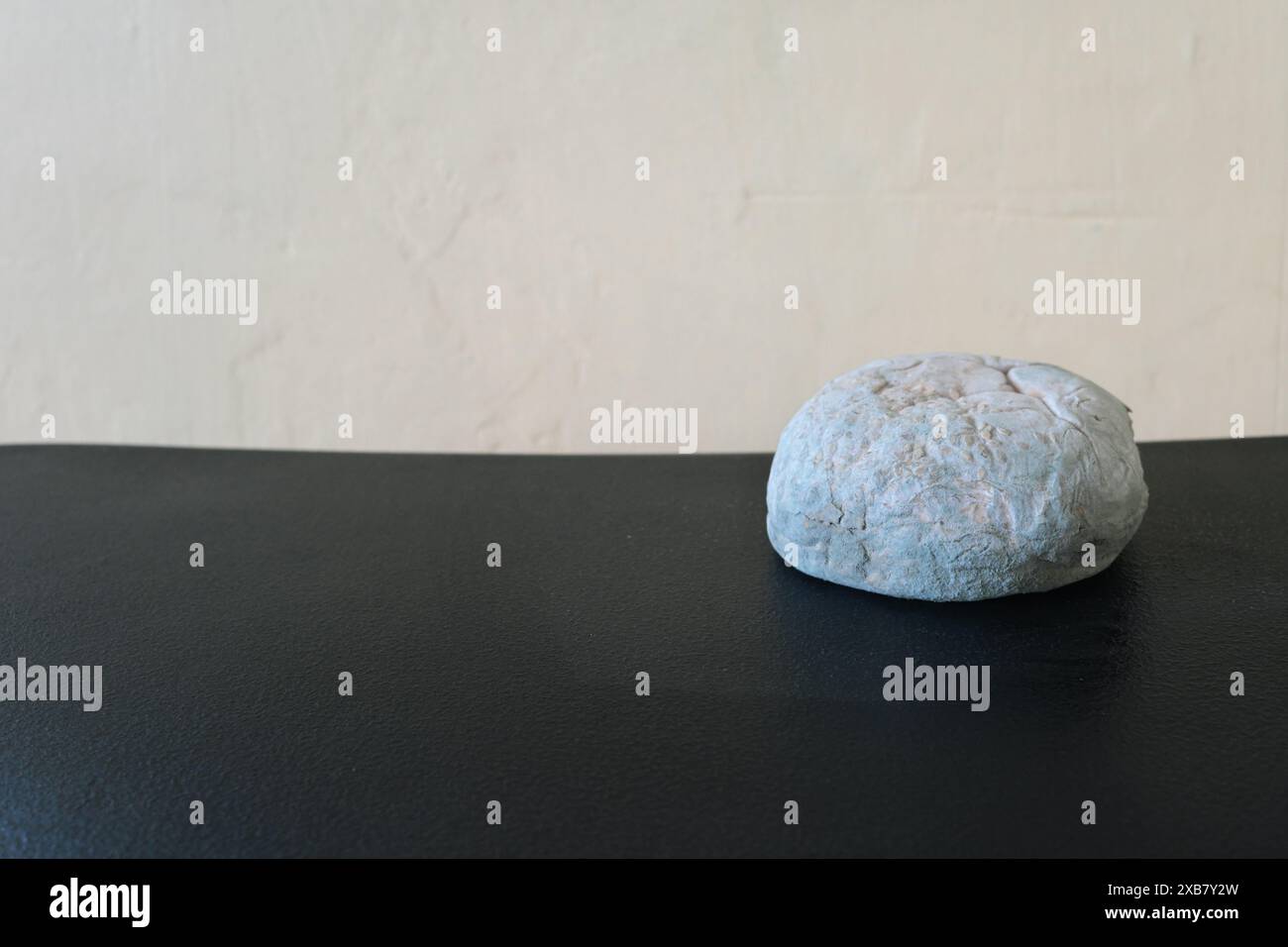 Closeup of a rotten moldy hamburger bun bread. Food spoilage and food ...