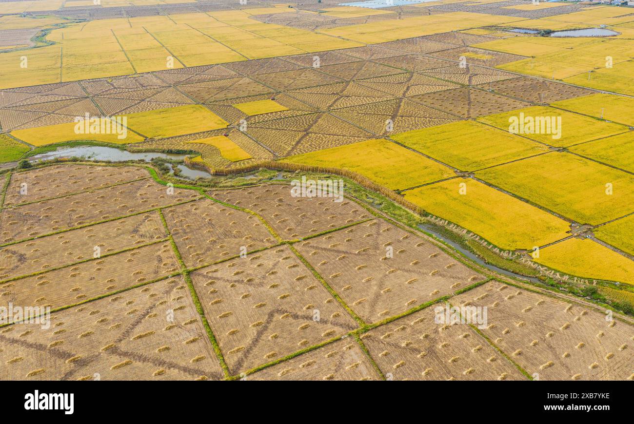 An aerial view of rural fields with unique patterns Stock Photo - Alamy
