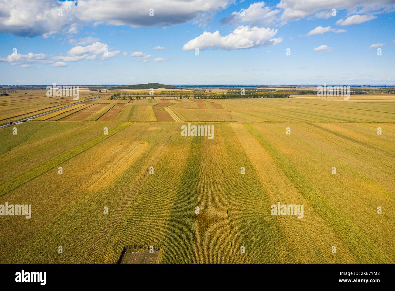 A beautiful rural landscape with vast open fields and a blue sky with ...