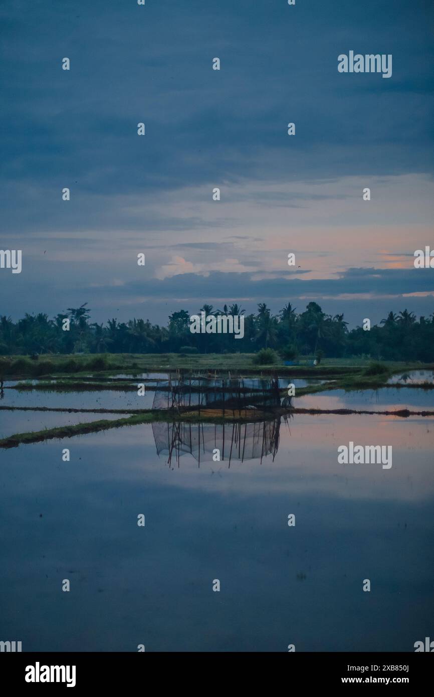 A small fishing boat floating in front of two rice fields au Ubud Stock ...