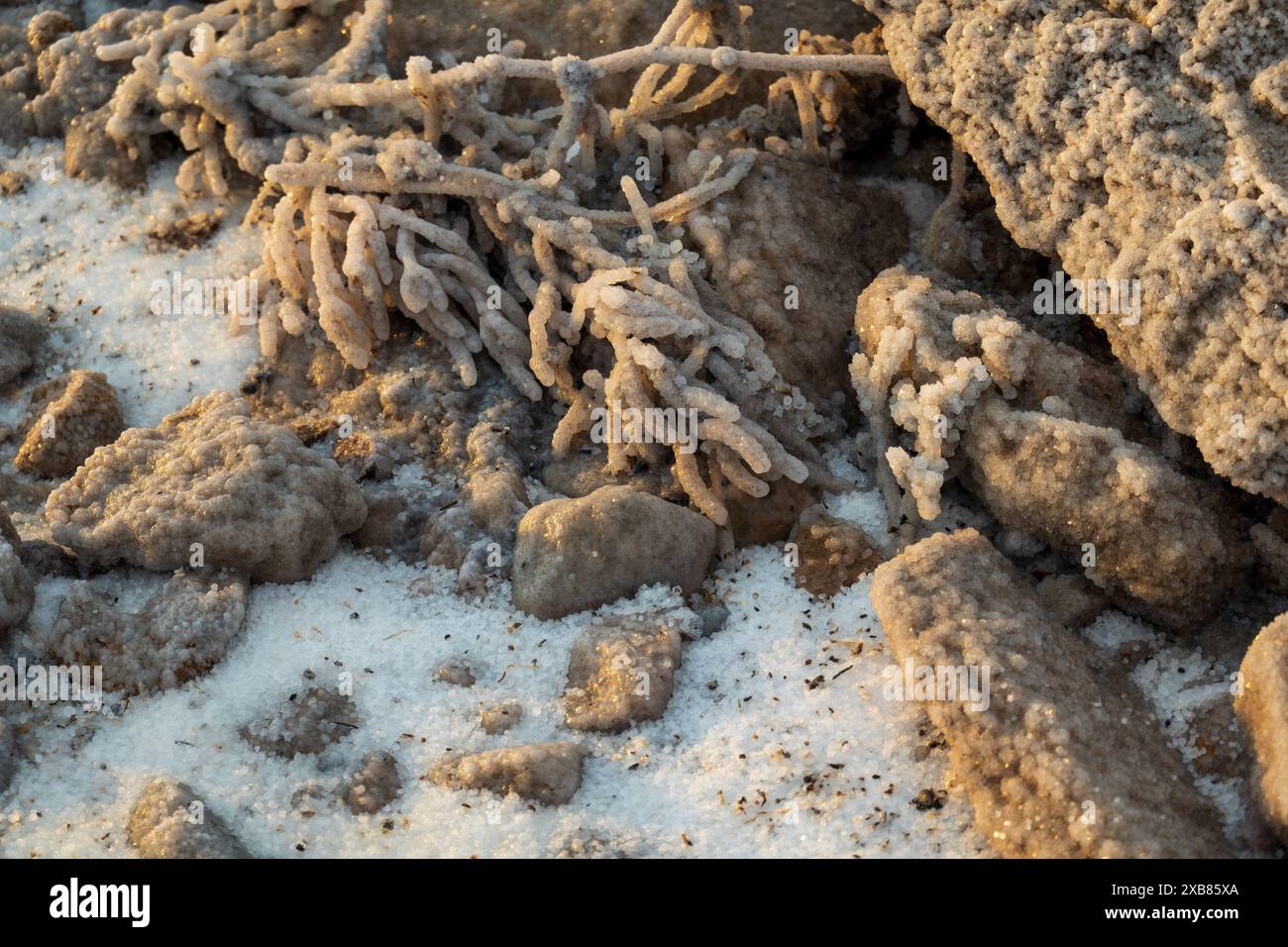 Detailed view of natural salt formations on rocks, highlighting their ...