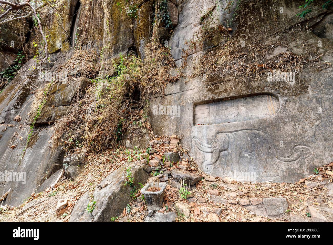 Elephant engraved in cliff face, Wat Pho (or Wat Phu) temple ruin ...