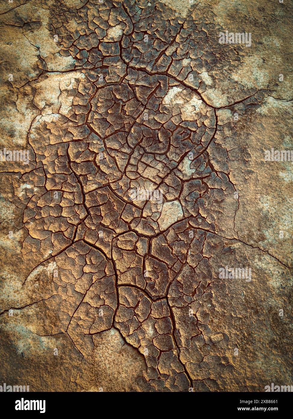 Detailed geological illustration depicting hi-res stock photography and ...