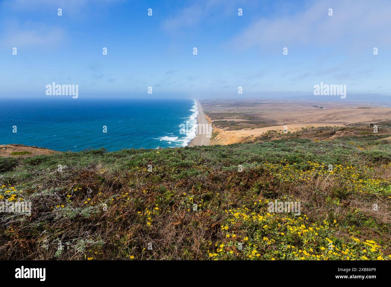 Cliffside flowers hi-res stock photography and images - Alamy
