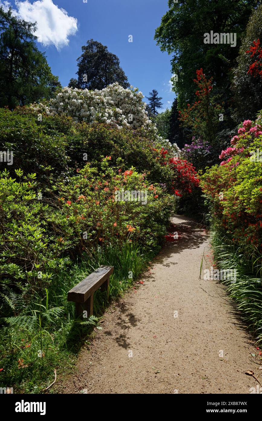 English park and flowers hi-res stock photography and images - Alamy
