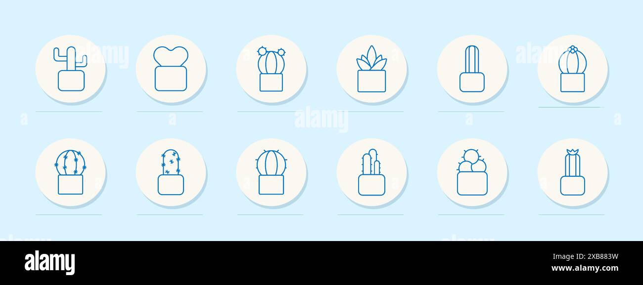 Cactus set icon. Various cacti types in pots. Succulent plants, desert ...