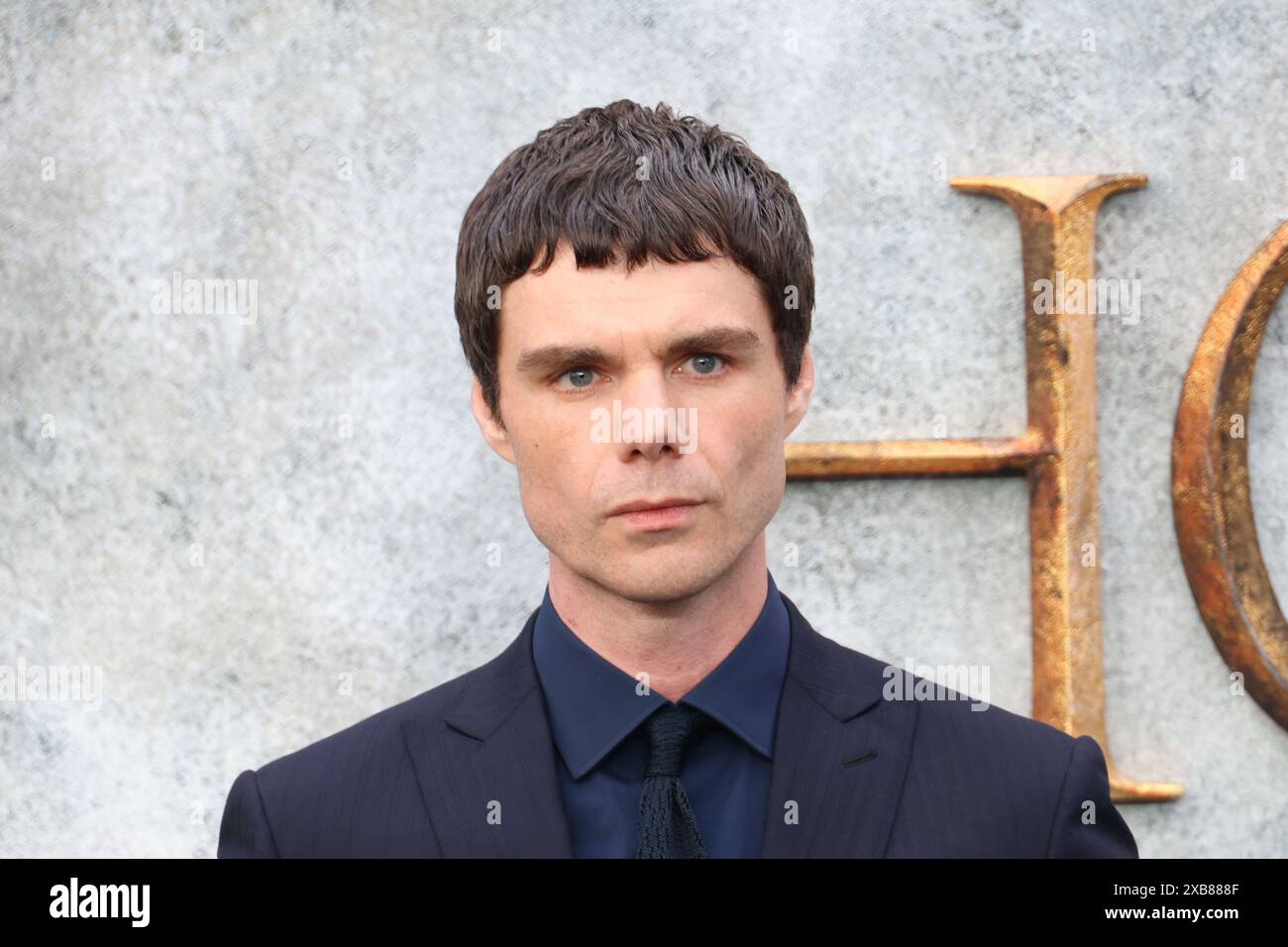 Matthew Needham, House of the Dragon - Season 2 UK Premiere, Leicester ...