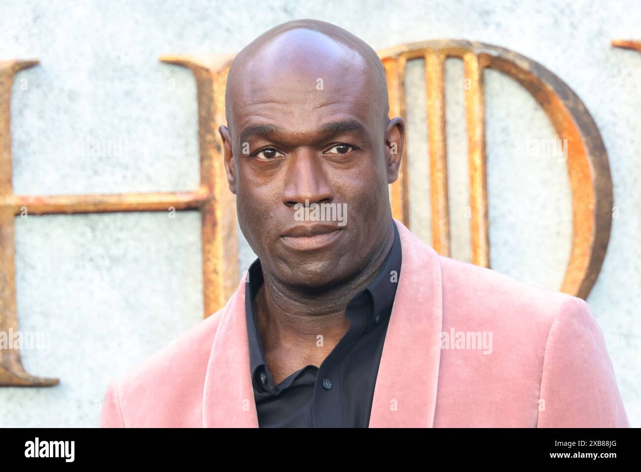 Steve Toussaint, House of the Dragon - Season 2 UK Premiere, Leicester ...