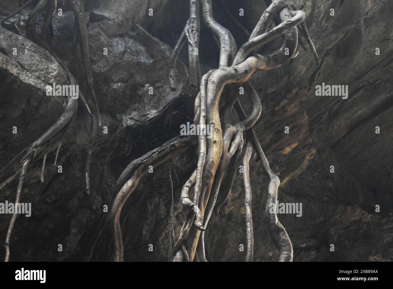 Cave massive rock hi-res stock photography and images - Alamy