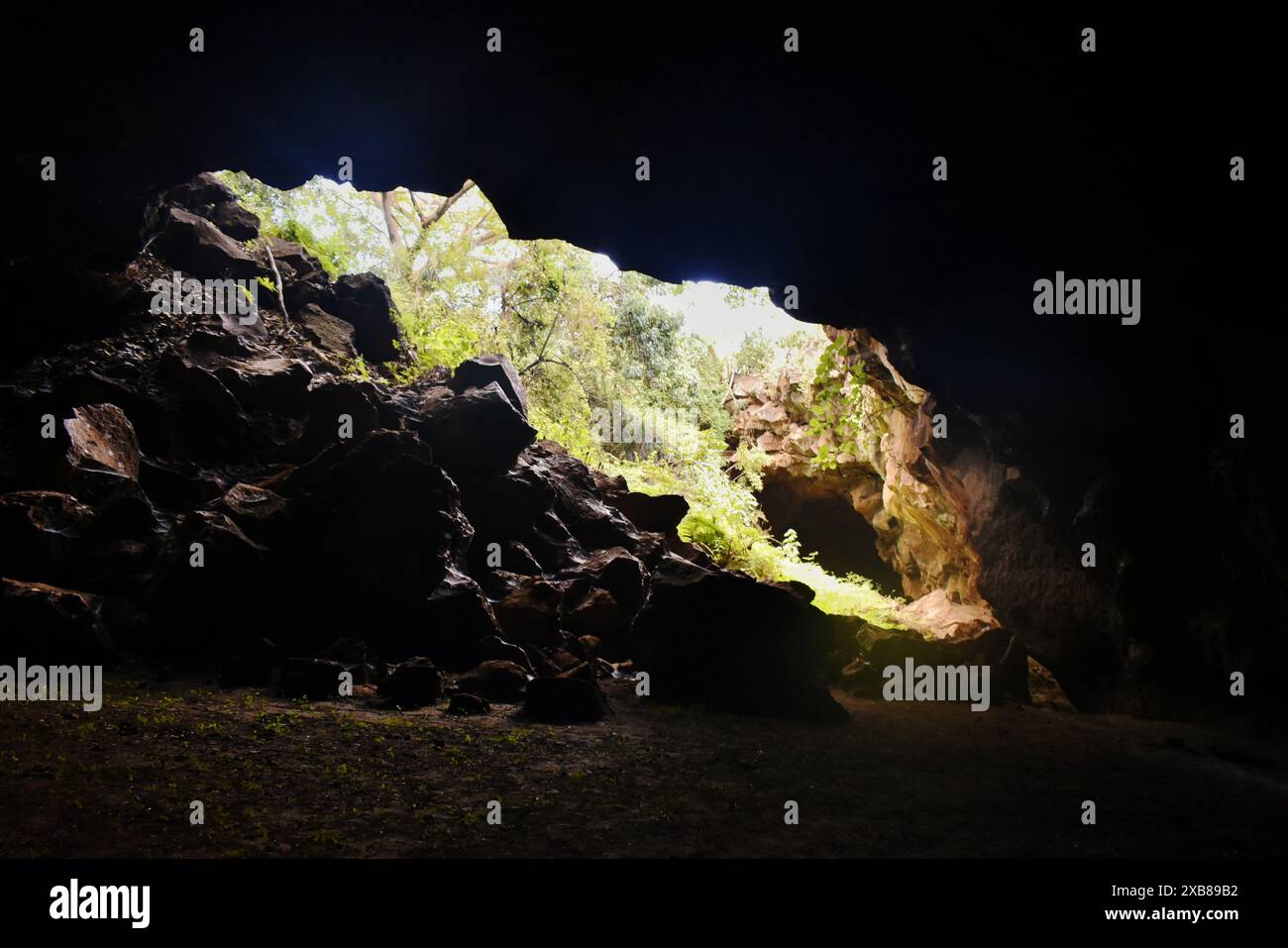 Sunlight illuminates a dark cave interior Stock Photo - Alamy