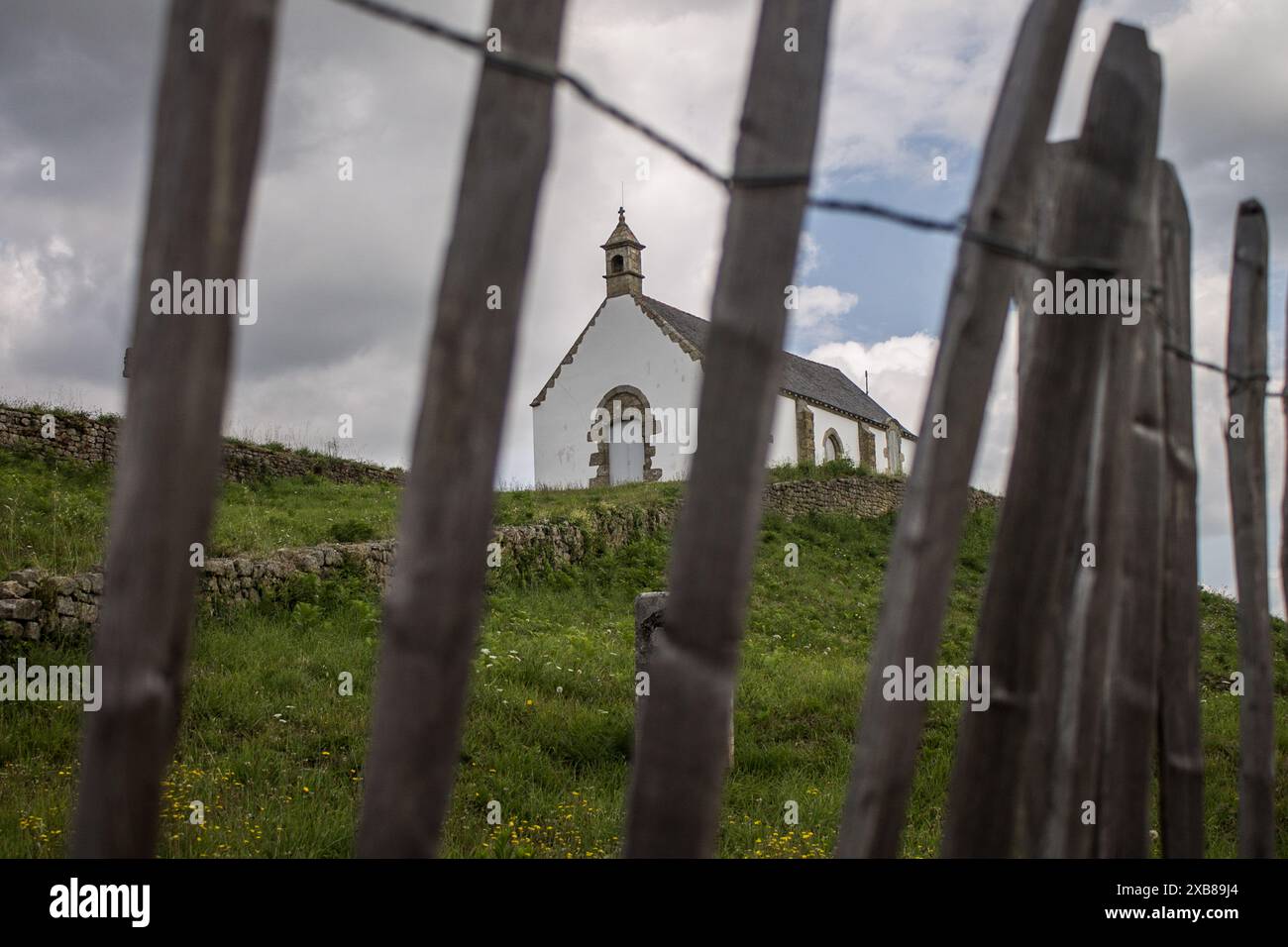 Perched on top of fence hi-res stock photography and images - Alamy