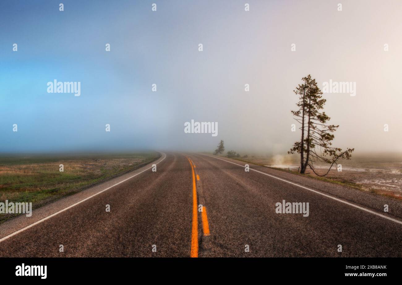 Desolate road with two prominent trees stretching into the distance ...