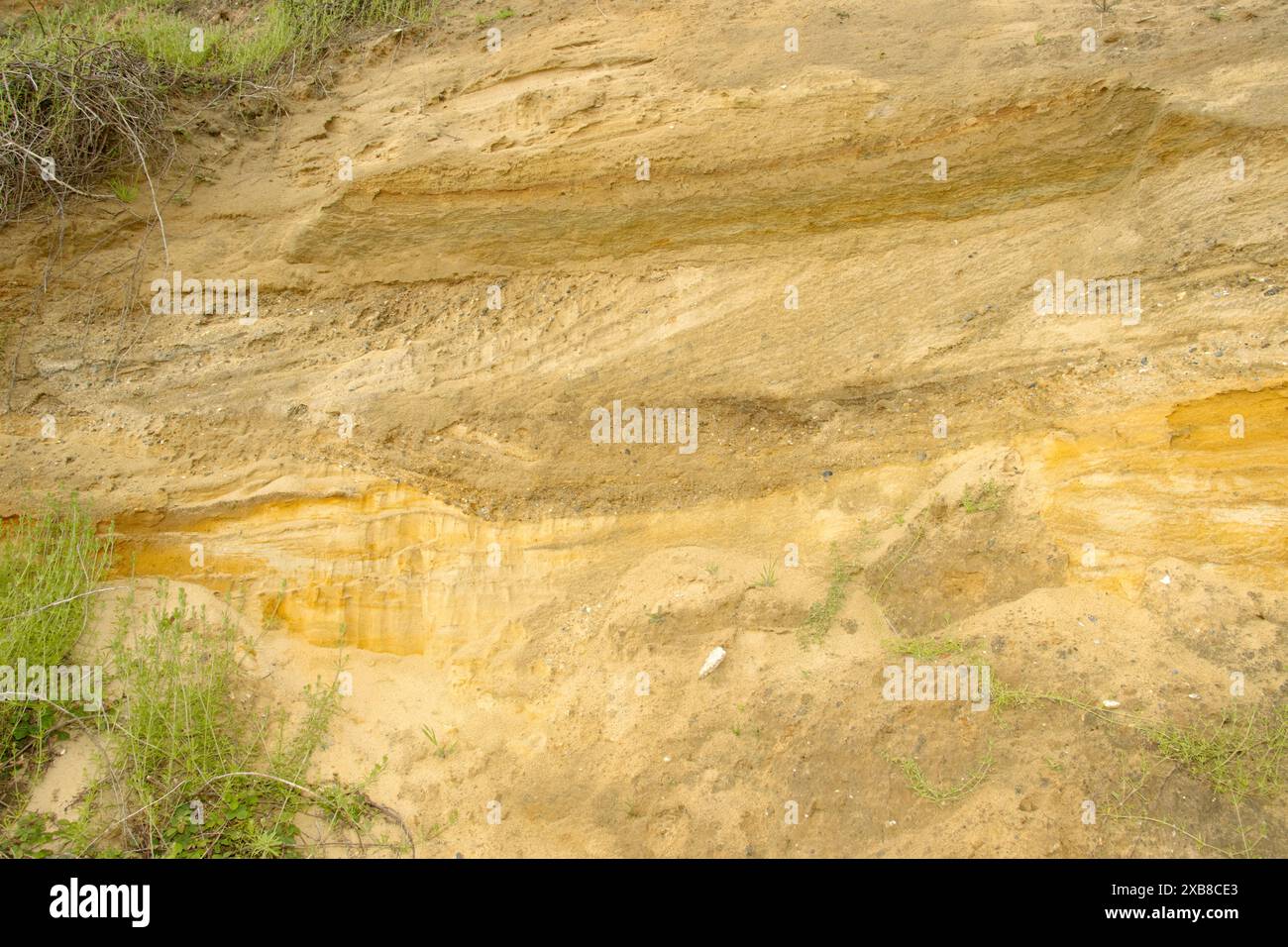 The light sandy soils of the Suffolk Coast are prone to erosion. Severe ...