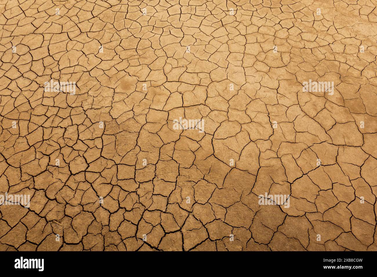Wide view of cracked, dry earth showcasing the effects of drought in a ...
