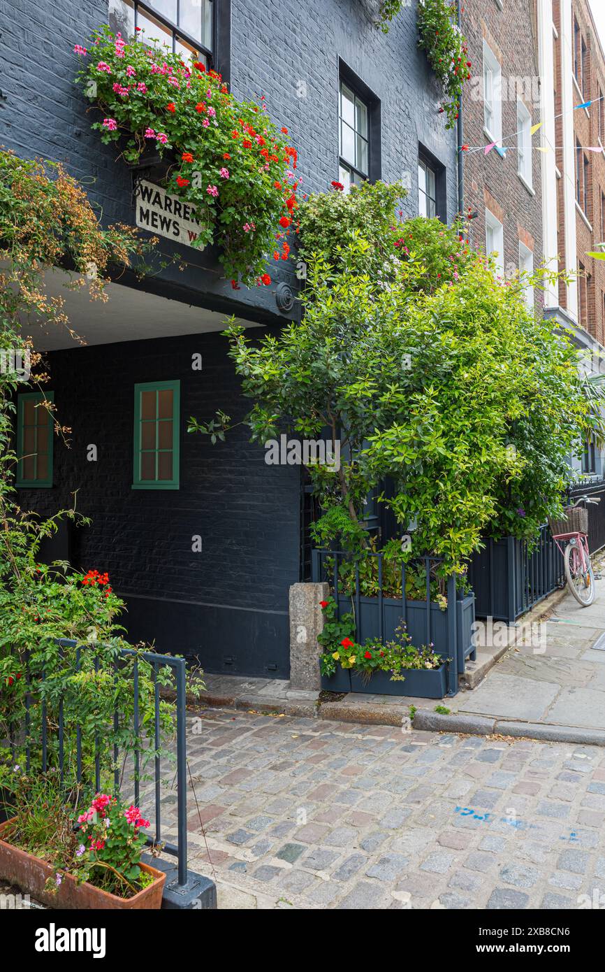 Warren Mews Fitzrovia London - Warren Mews is off Warren St in London's ... Warren Mews Fitzrovia London - Warren Mews is off Warren St in London's ...