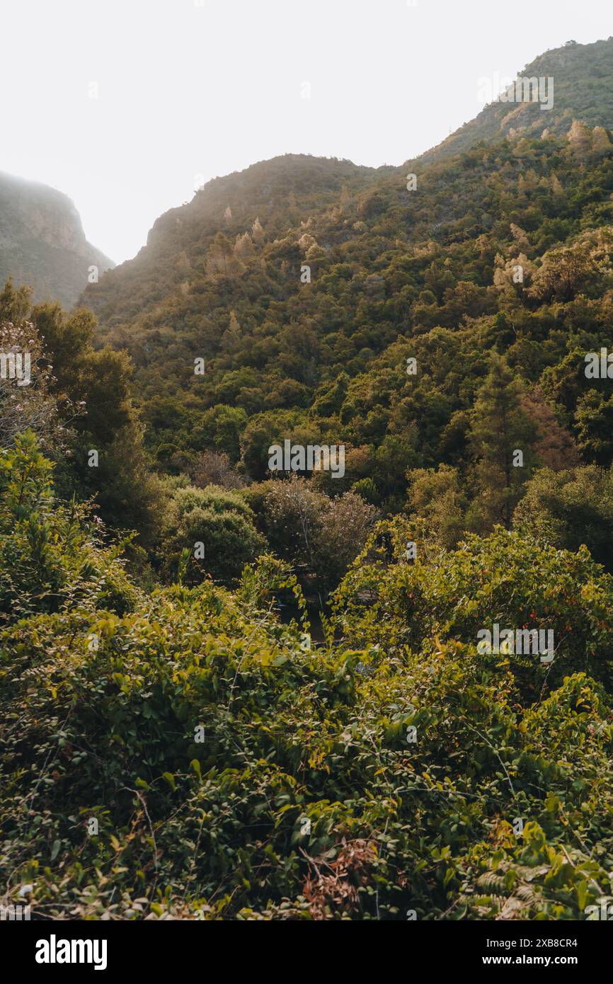 Akchour morocco hi-res stock photography and images - Alamy