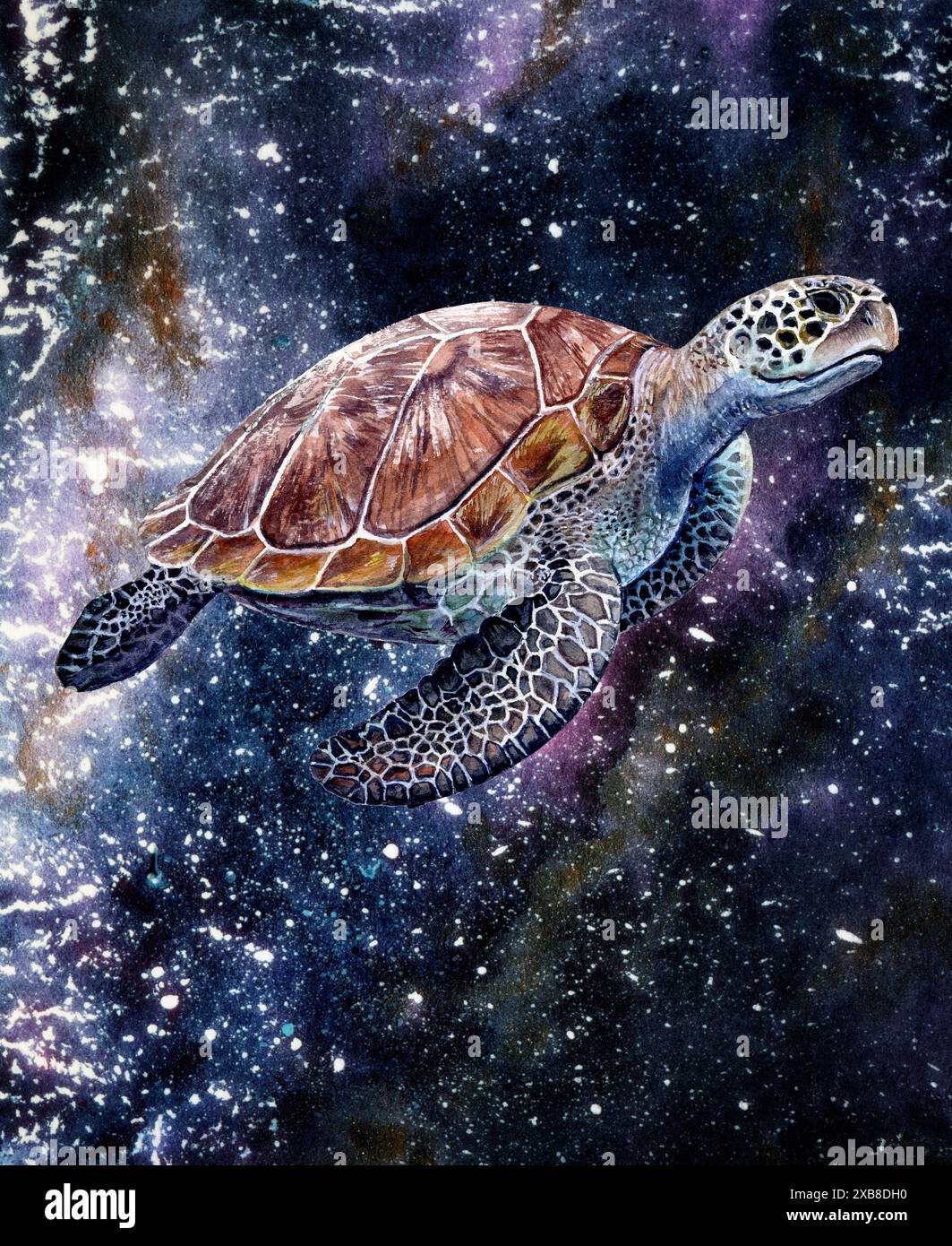 Kemps ridley sea turtle swimming in a fluid space like environment ...