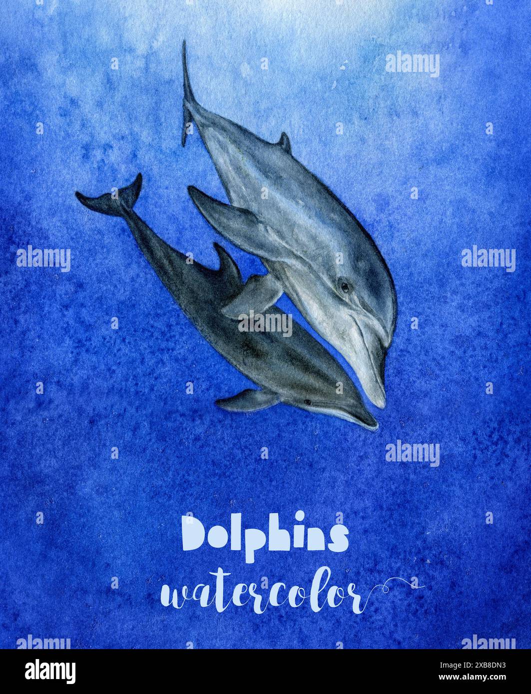 Electric blue dolphins painted in art swim together in the wildlife ...
