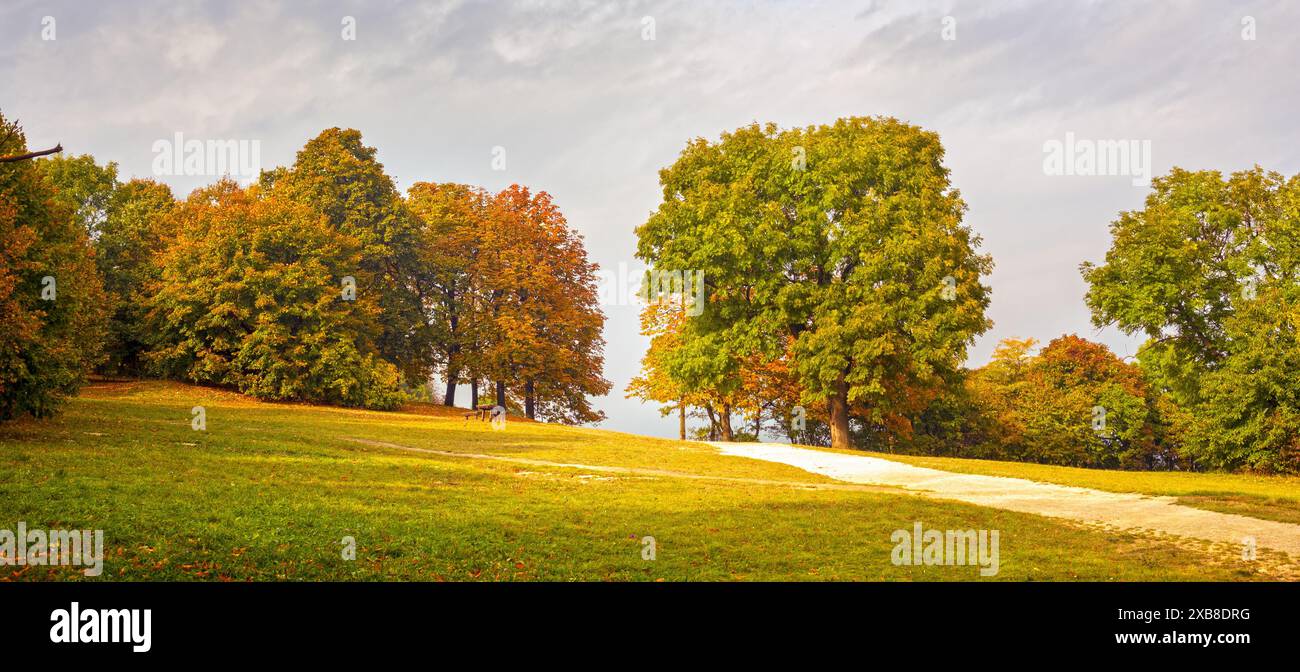 Trees and trees landscape with nature and season hi-res stock ...