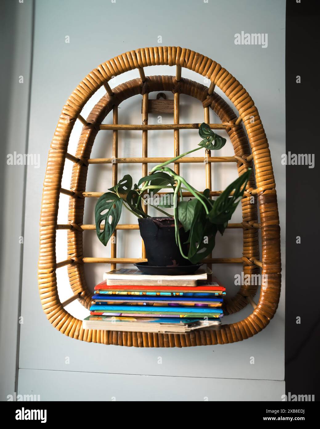 Rattan shelf filled with ornamental plants on the wall. A beautiful ...