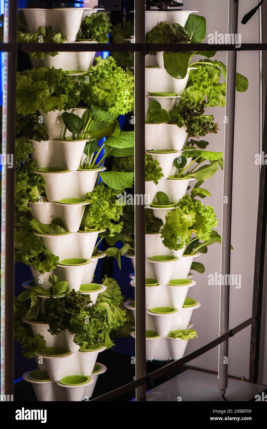 Hydroponics farming concept vertical hi-res stock photography and ...