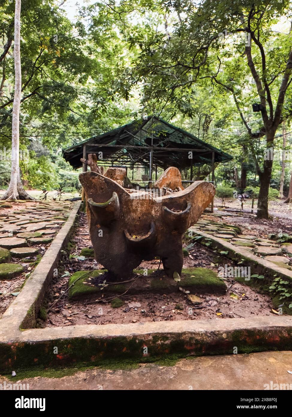 Tree stump carved into art near the rainforest cave in Perlis, Malaysia ...