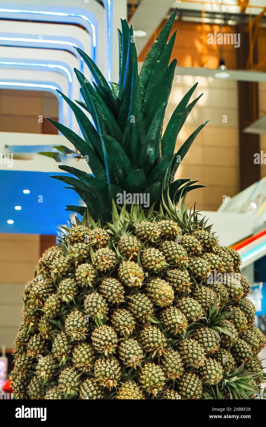 Giant pineapple created from real pineapples clustered together in an ...