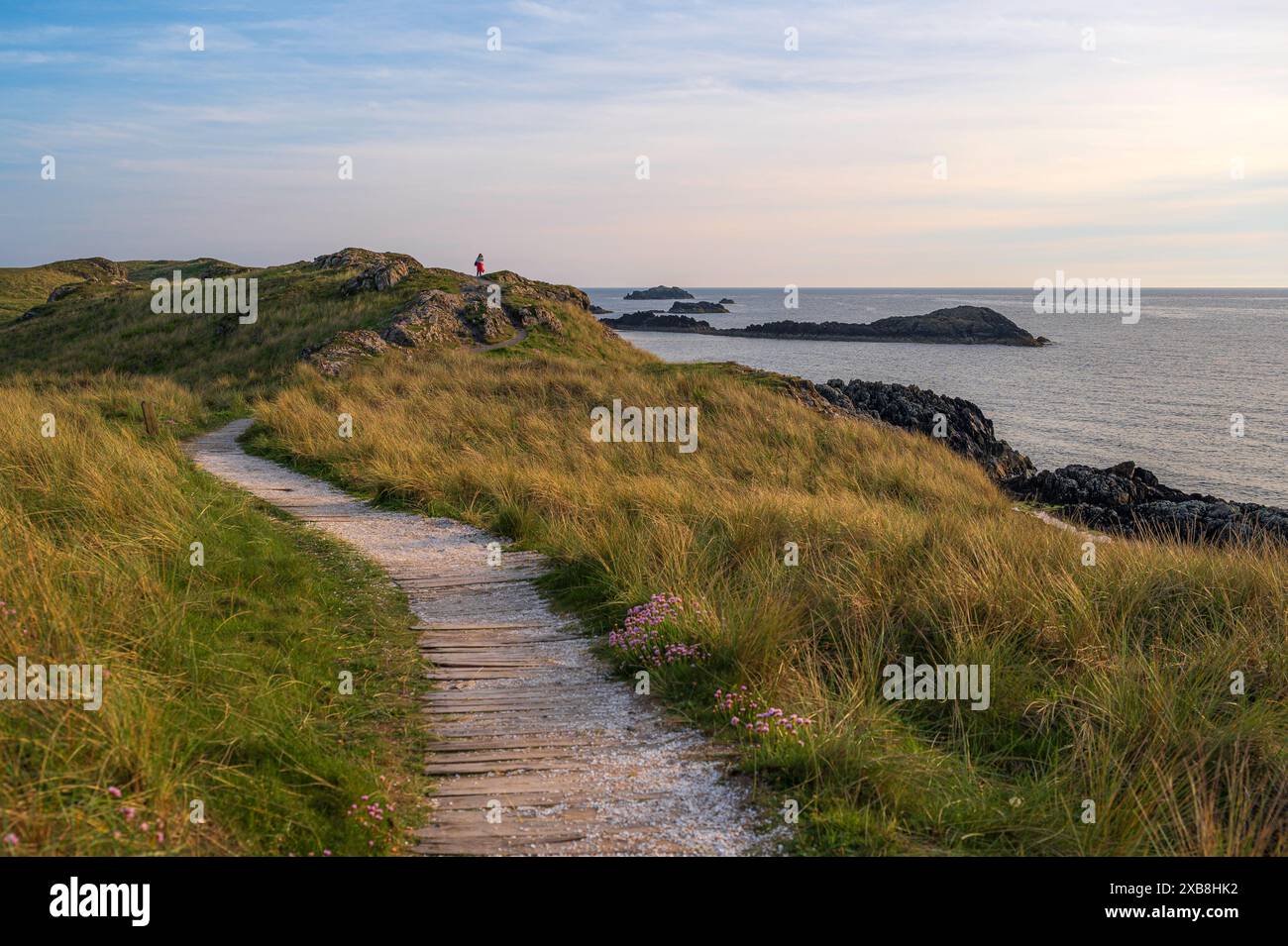 A path, leading through grassy sand dunes overlooking the ocean. it is ...
